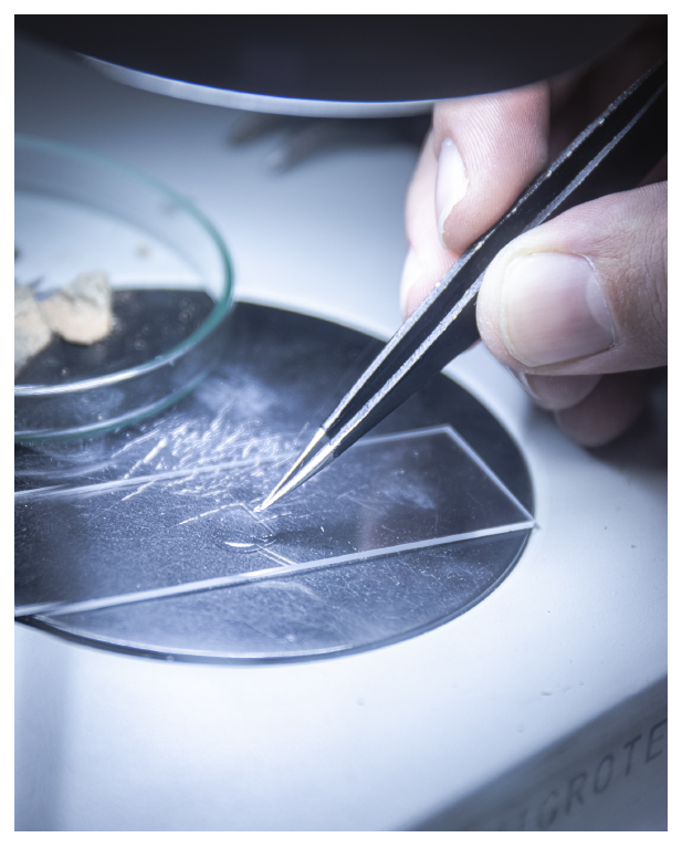 Environmental Essentials – Ensuring People, Places and Spaces are Safe